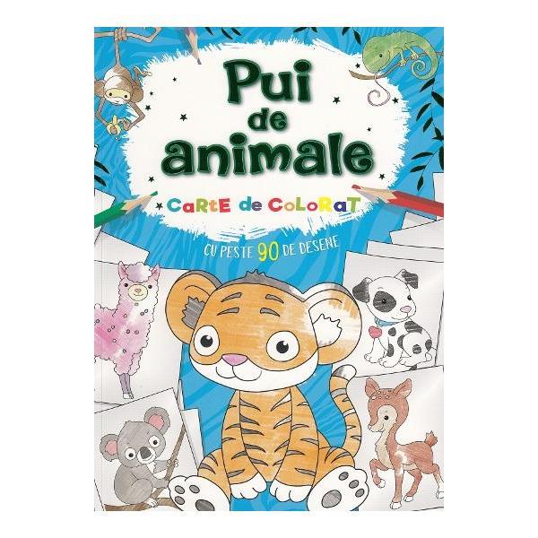 Pui de animale - Carte de colorat - Colectiv redactional - Libraria CLB